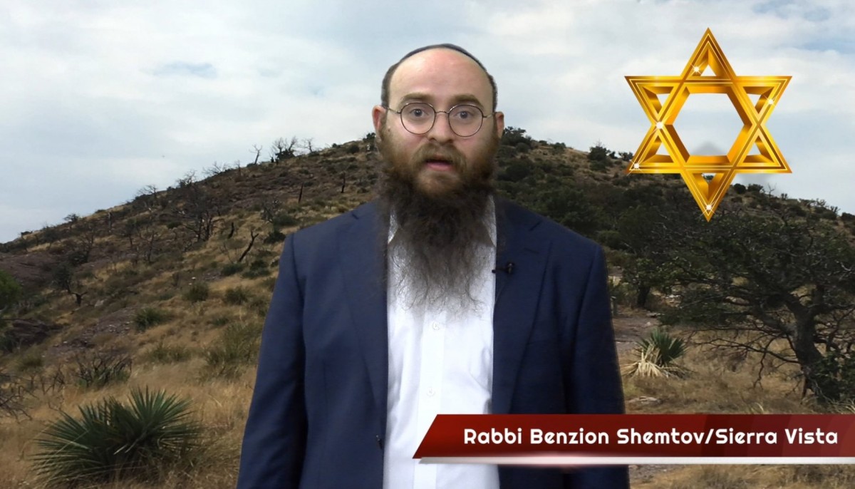 A lesson from a tree with Rabbi Shemtov | Article | The United States Army