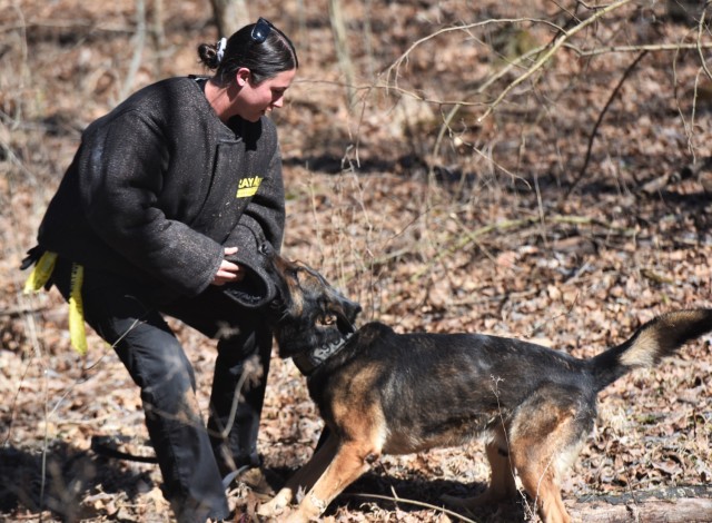 Area, state police dog teams participate in first high-risk deployment ...
