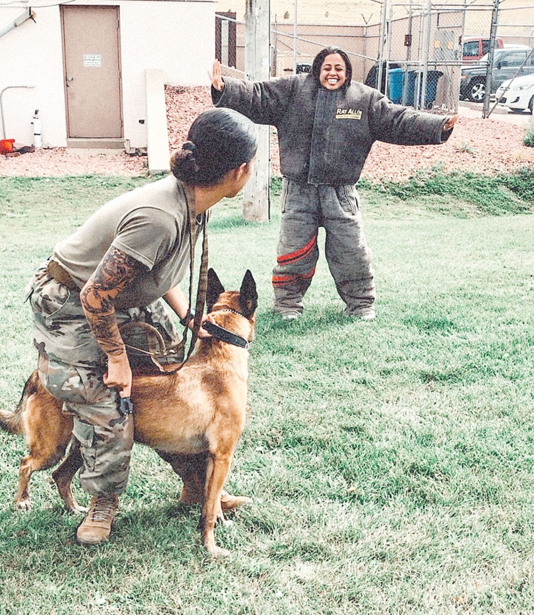 Event to showcase military working dogs | Article | The United States Army