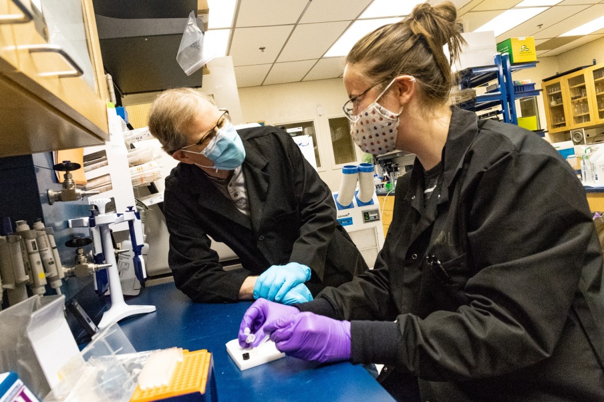 Army researchers gain insights on material-converting fungi | Article ...