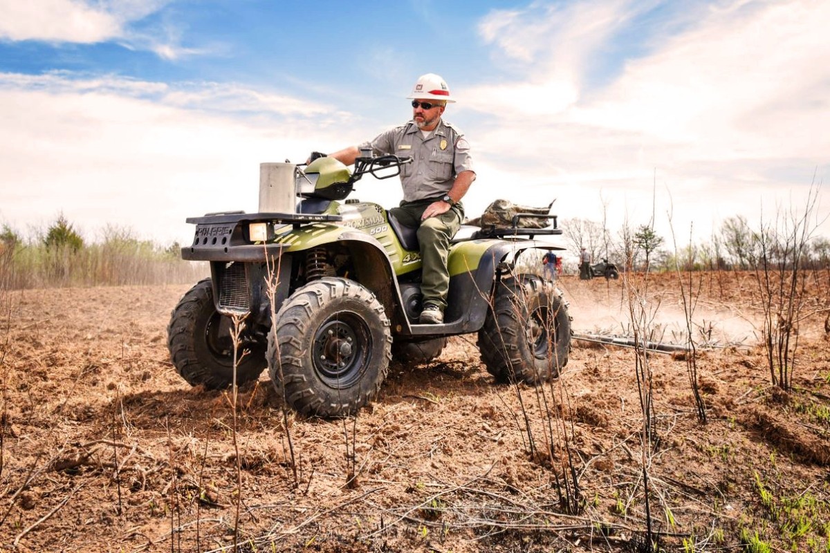 How the US Army Corps of Engineers is taking action to help pollinators ...