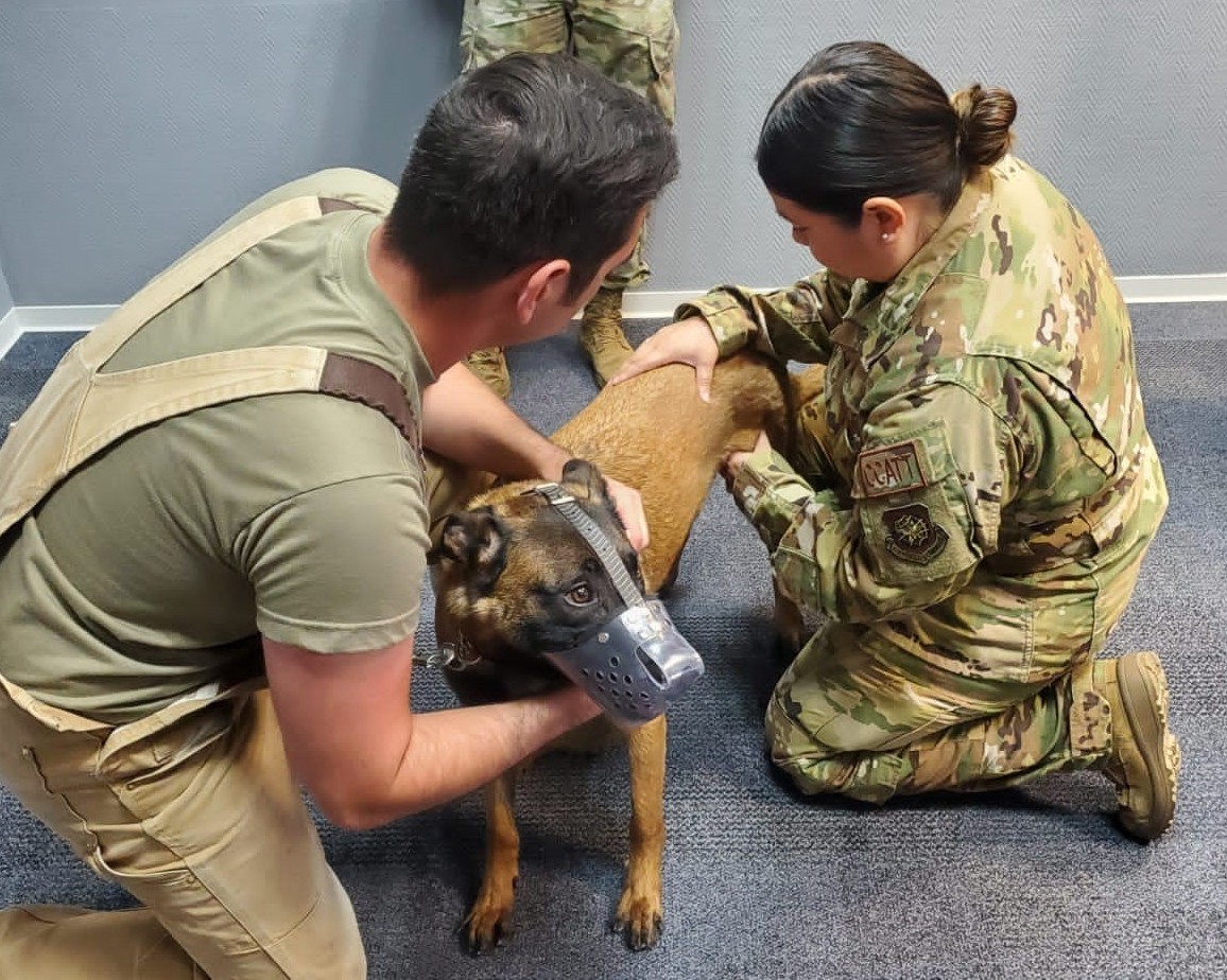 Veterinary Medical Center Europe provides training opportunity to the ...