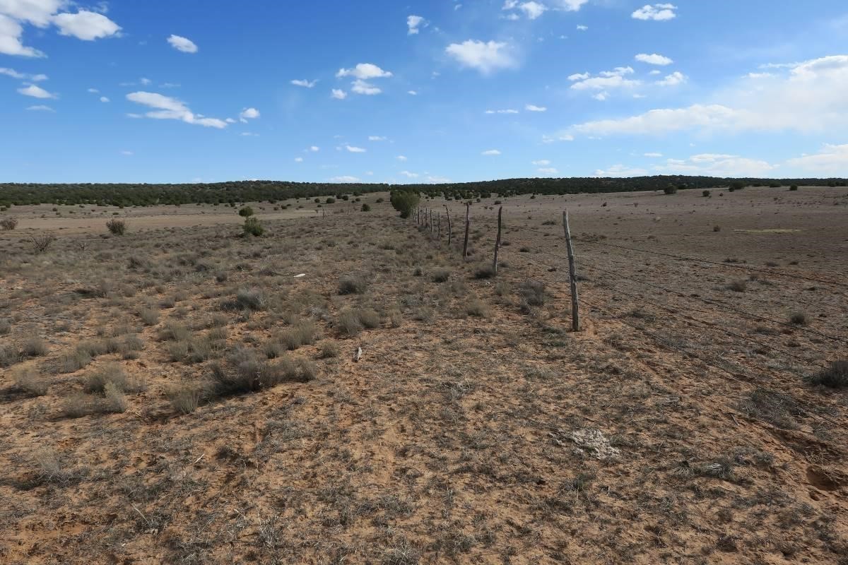 WSMR selected as REPI Challenge winner | Article | The United States Army