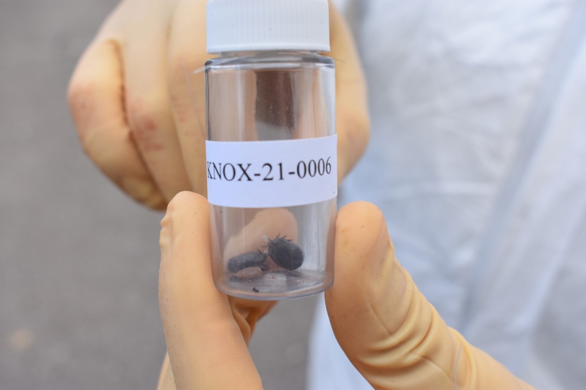 Fort Knox MEDDAC Tick Collection | Article | The United States Army