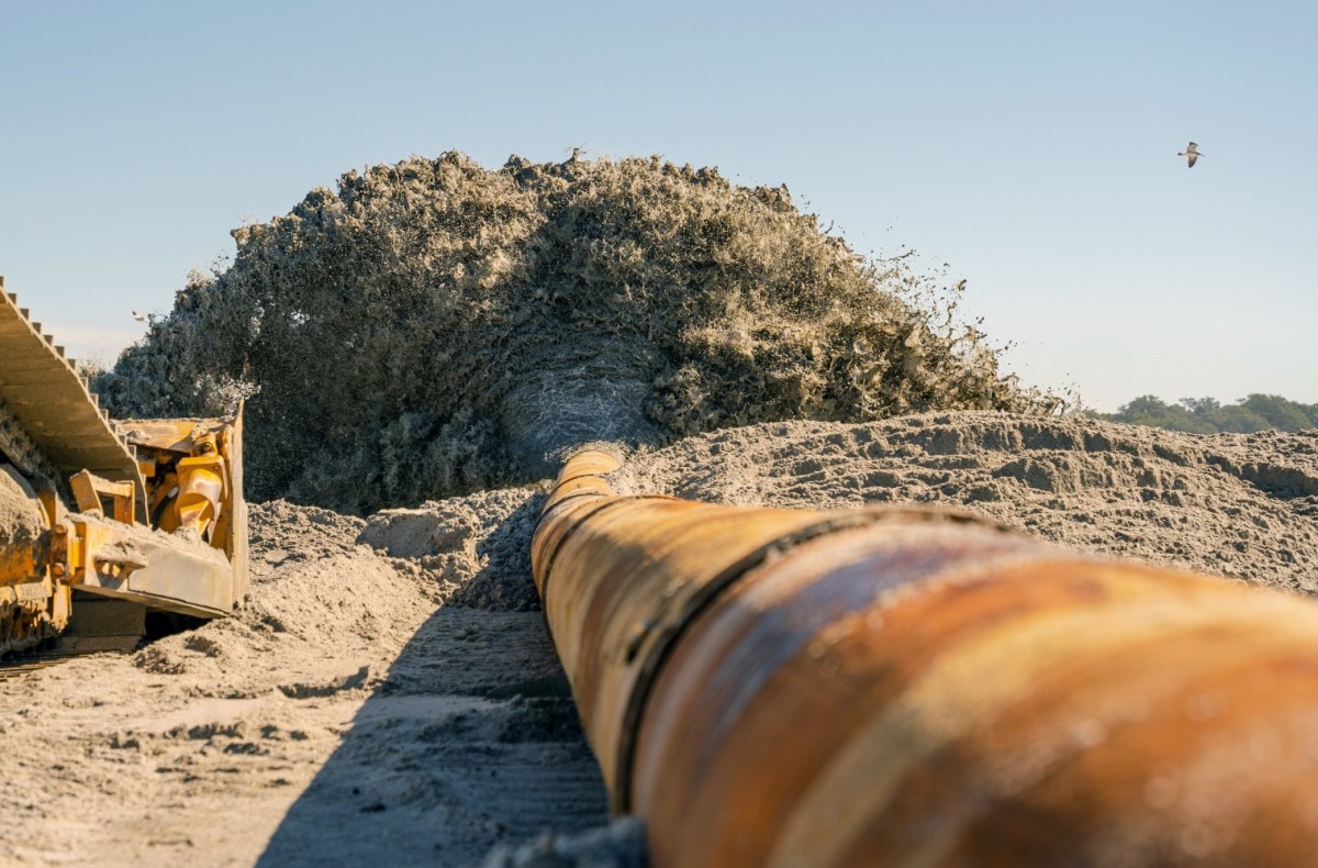Crab Bank Seabird Sanctuary: A landmark legacy | Article | The United ...
