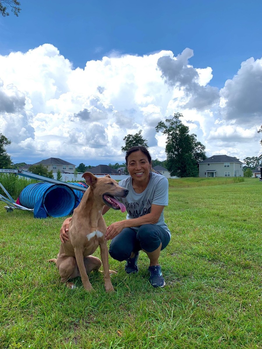 3rd Infantry Division Band musician and her dog win Top All-American ...