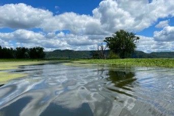 U.S. Army Corps of Engineers
