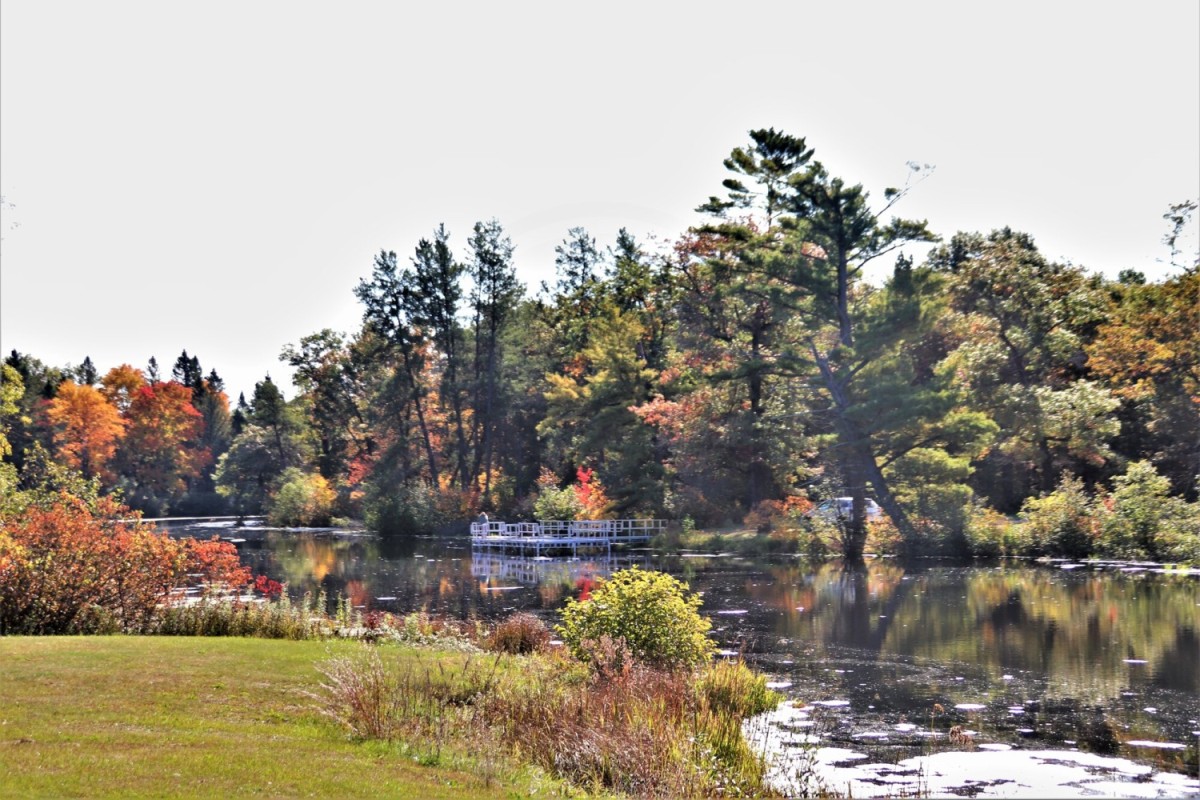 Photo Essay: 2022 Fall Colors at Fort McCoy's Swamp Pond | Article ...