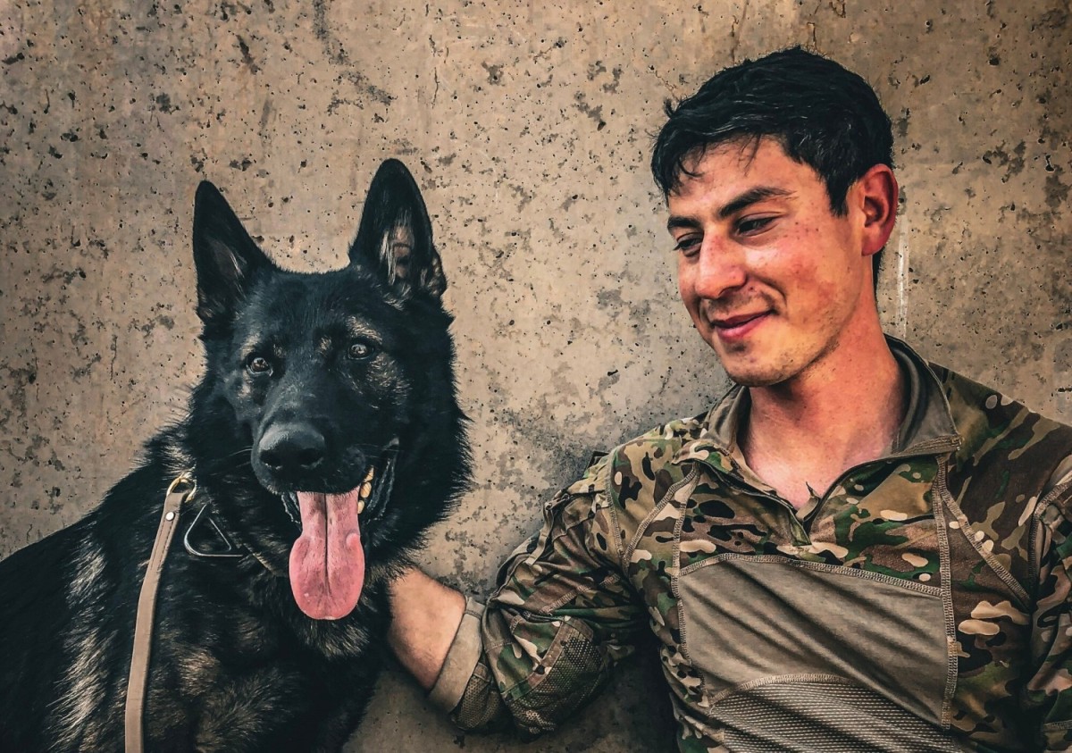 Army Explosive Ordnance Disposal officer bonds with Navy working dog on ...
