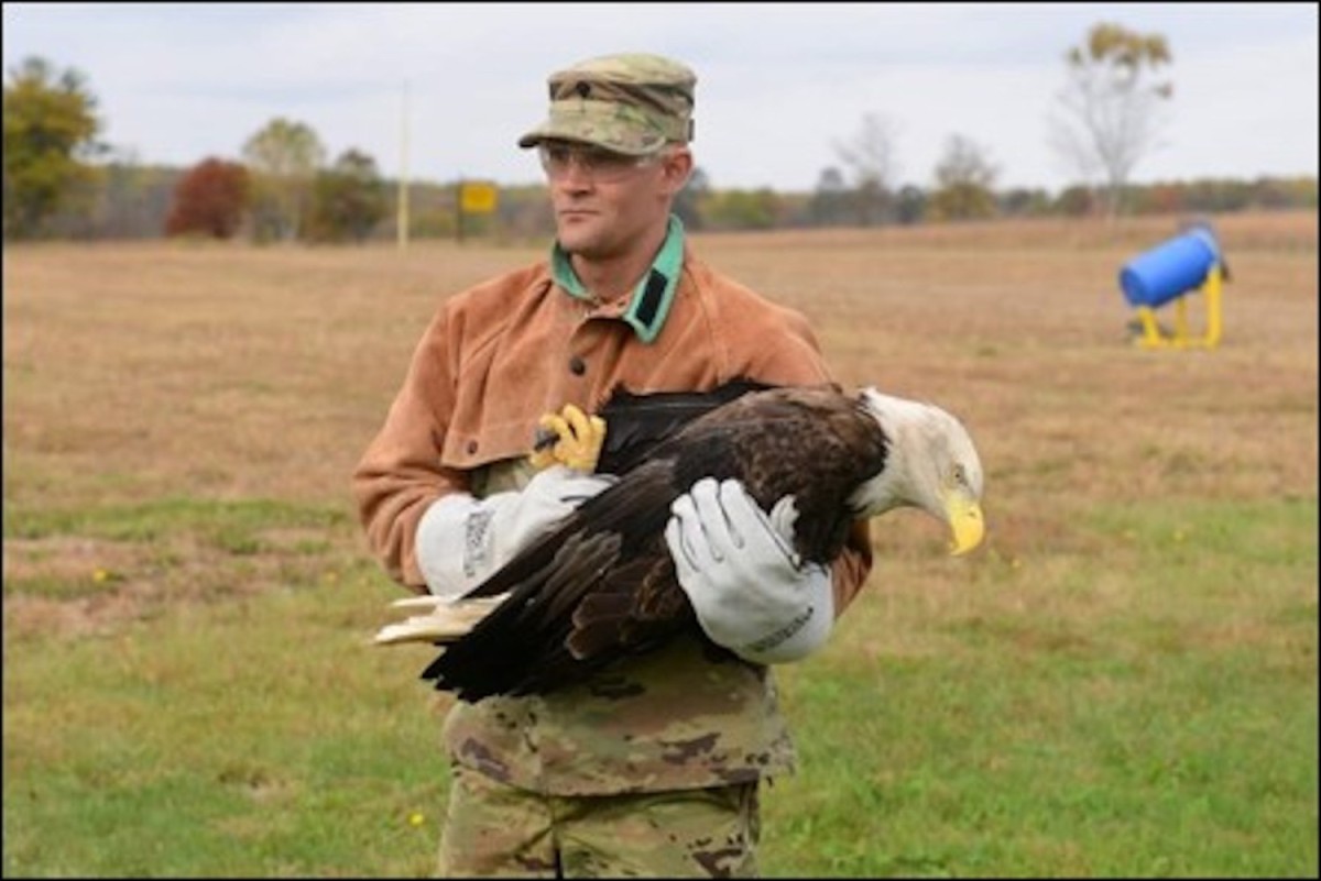 Army announces 2023 Environmental Awards Program winners | Article ...