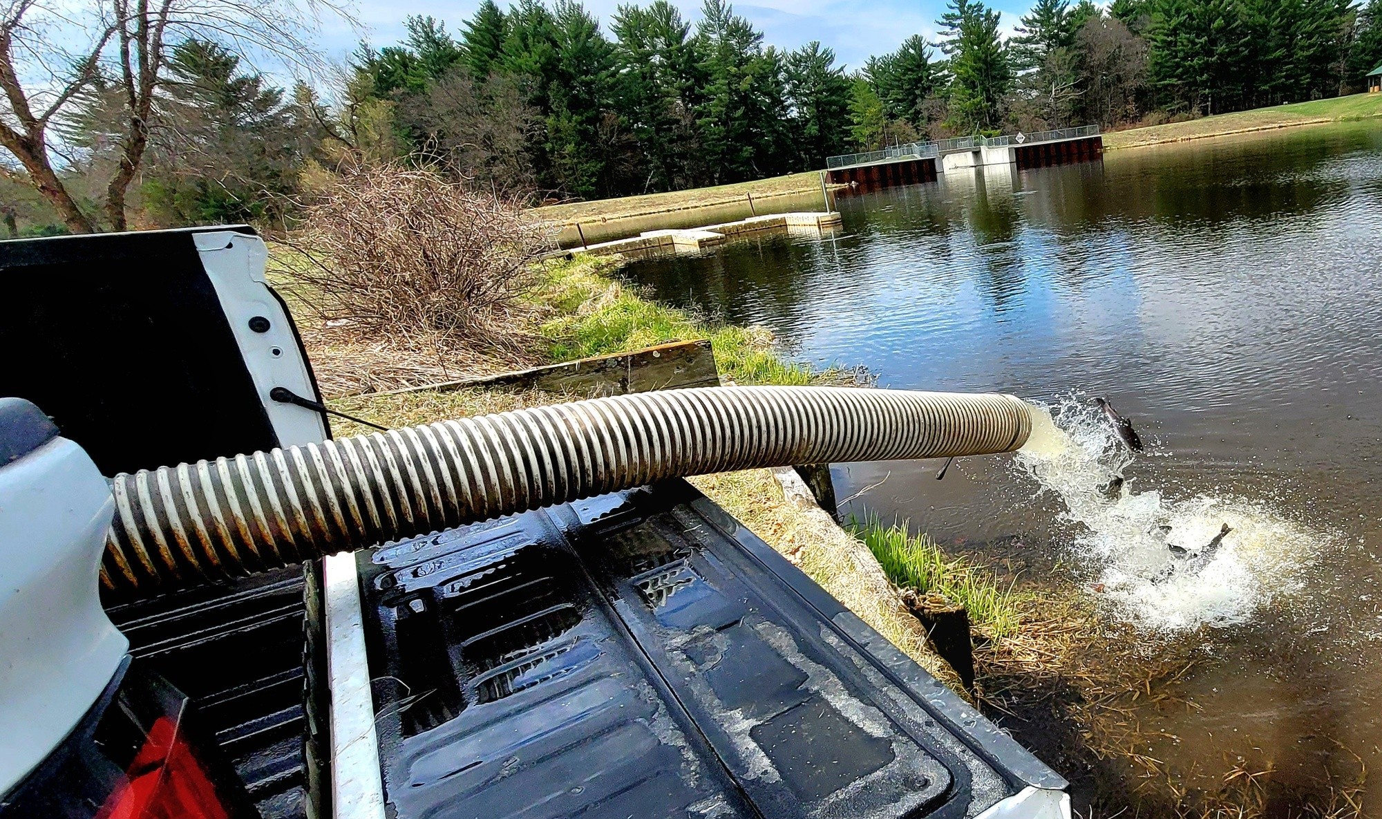 Photo Story: Annual fish stocking at Fort McCoy helps maintain fish ...