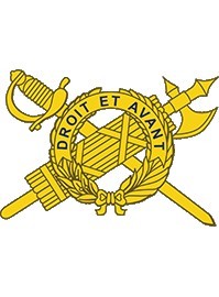 Department of the Army Inspector General