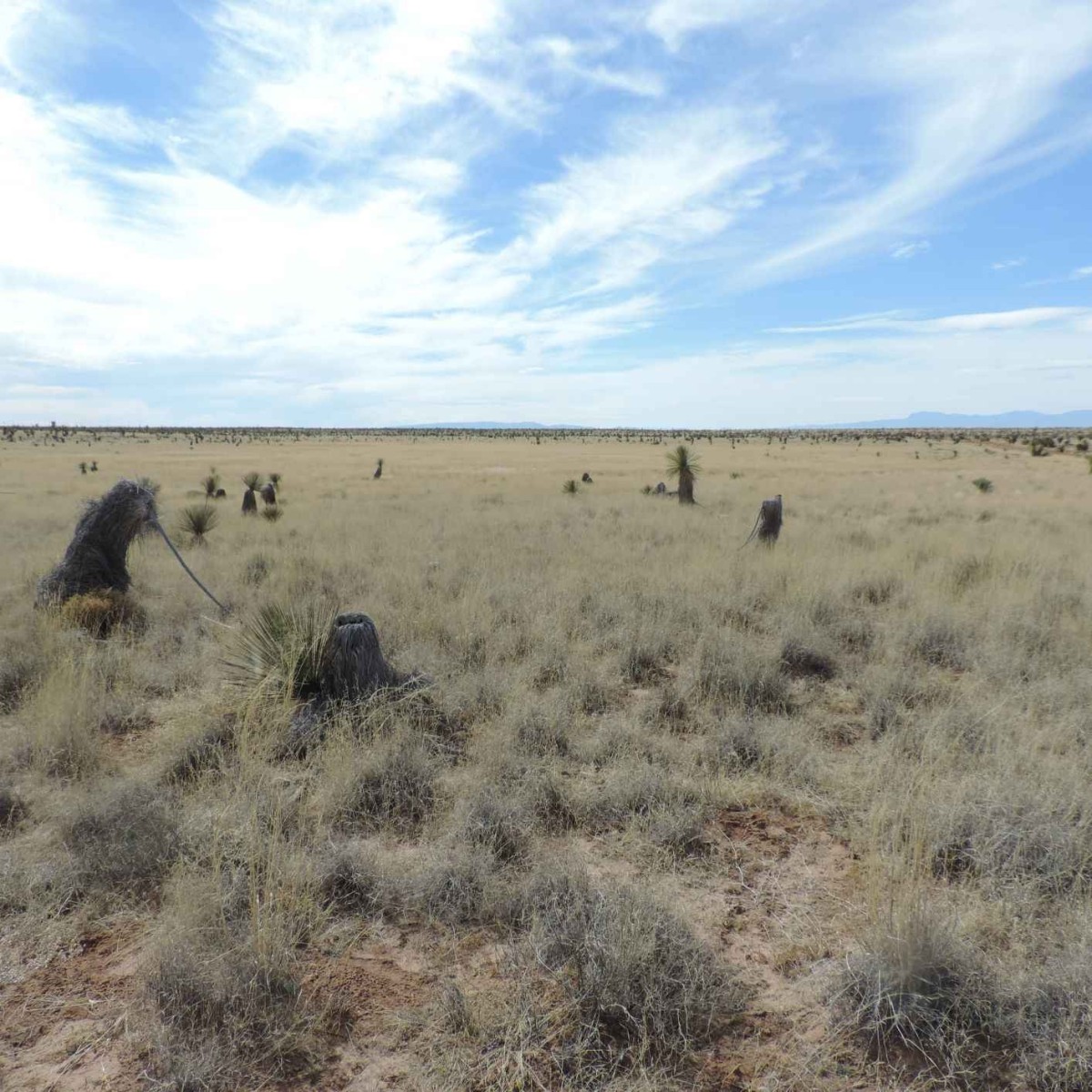 Strong leadership drives effective programs in complex environment at ...