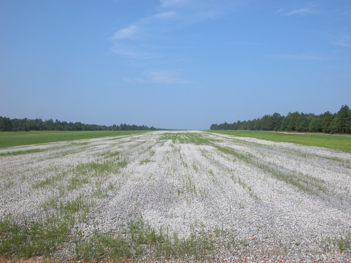 Fort Liberty balances massive training operations, endangered species ...