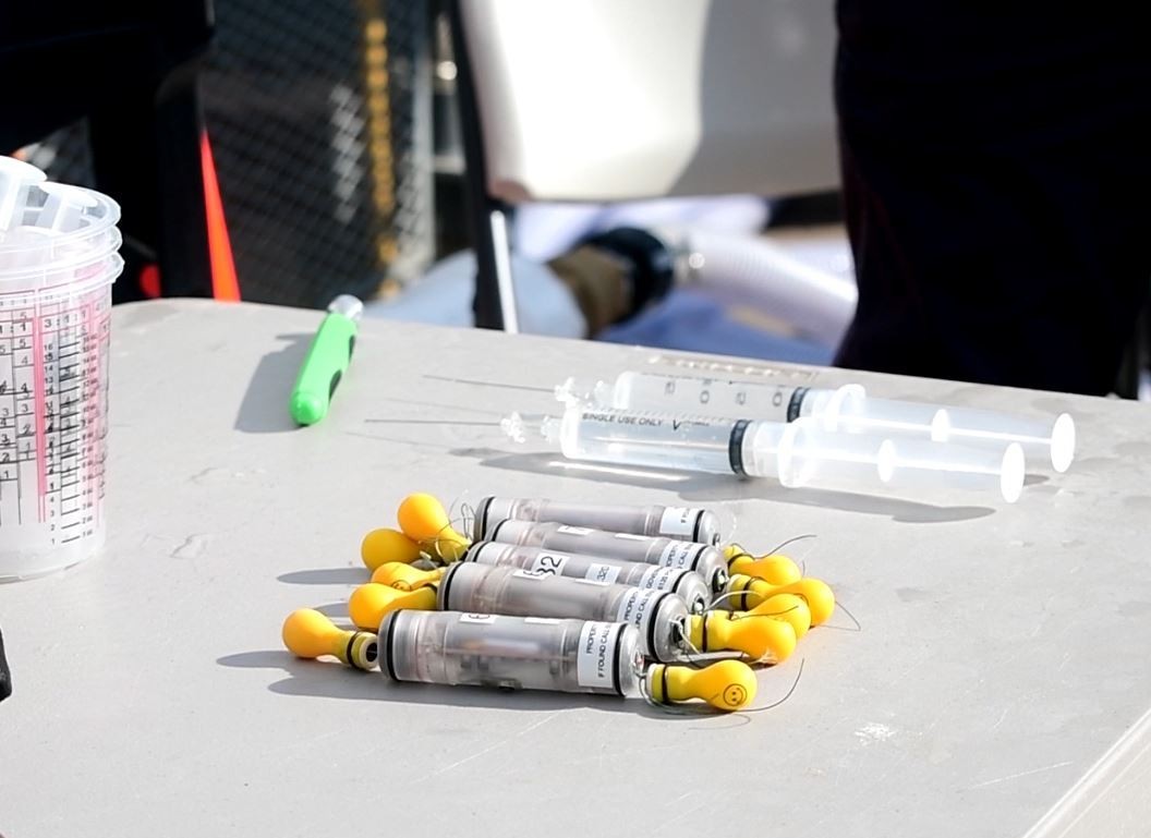 USACE Plans Fish Survival Testing this Fall on the Second Improved Fish ...