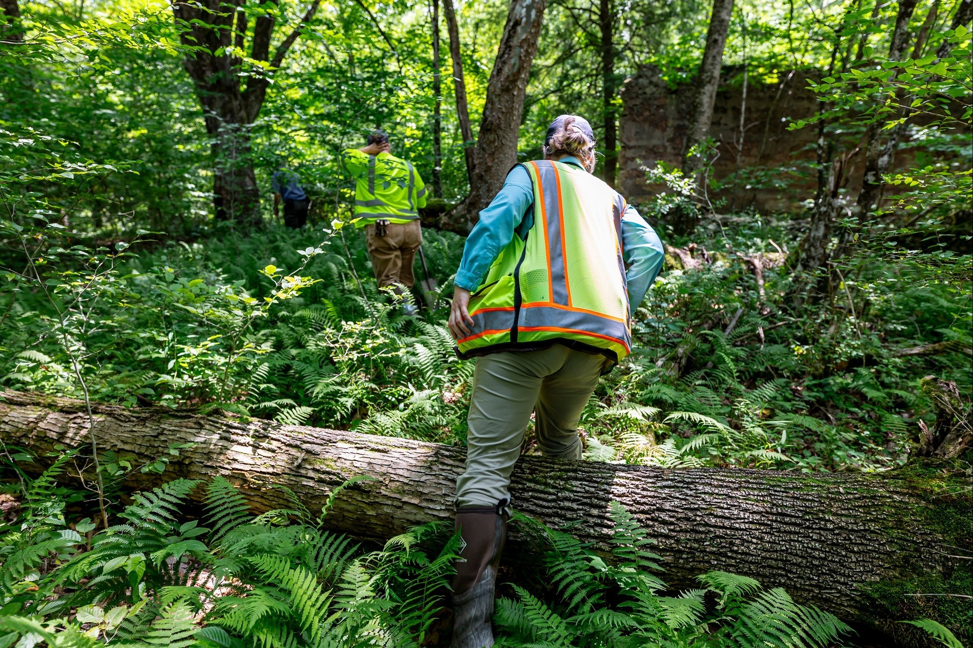 Headwater Highlights: Environmental stewards clear the path for ...
