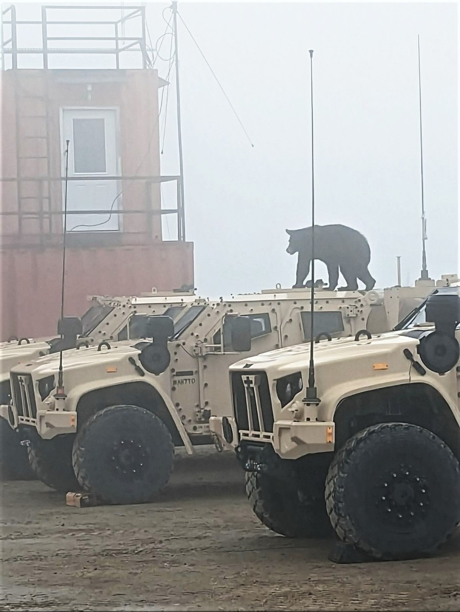 70th BEB Kodiaks meet black bear brothers during field training ...