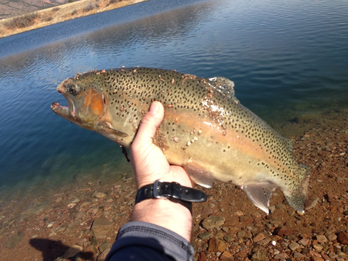 Fort Carson hosts fishing derby | Article | The United States Army
