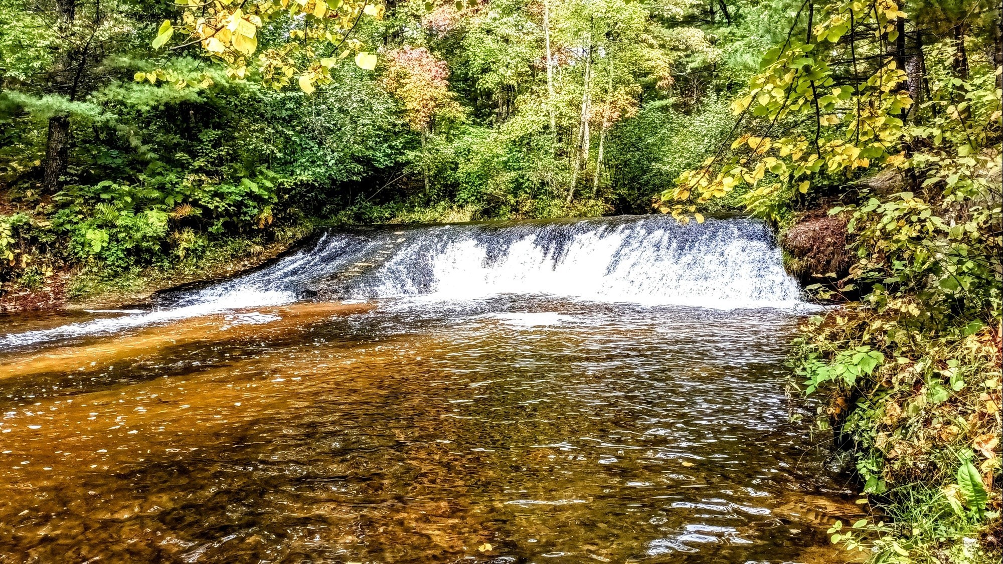 Photo Story: Fall colors 2023 at Trout Falls in Fort McCoy's Pine View ...