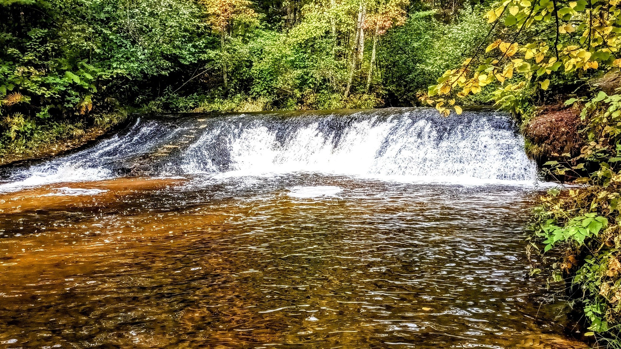 Photo Story: Fall colors 2023 at Trout Falls in Fort McCoy's Pine View ...