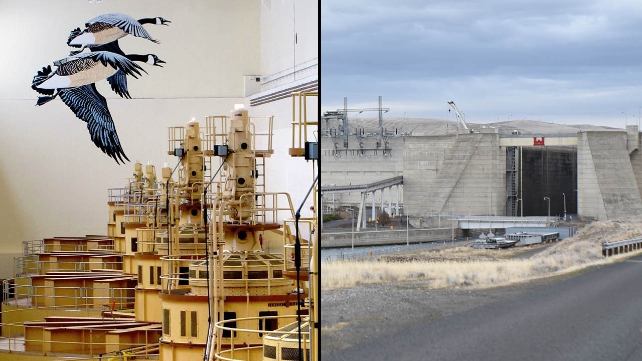 Waiting in the wings: A history of Little Goose Lock and Dam | Article ...