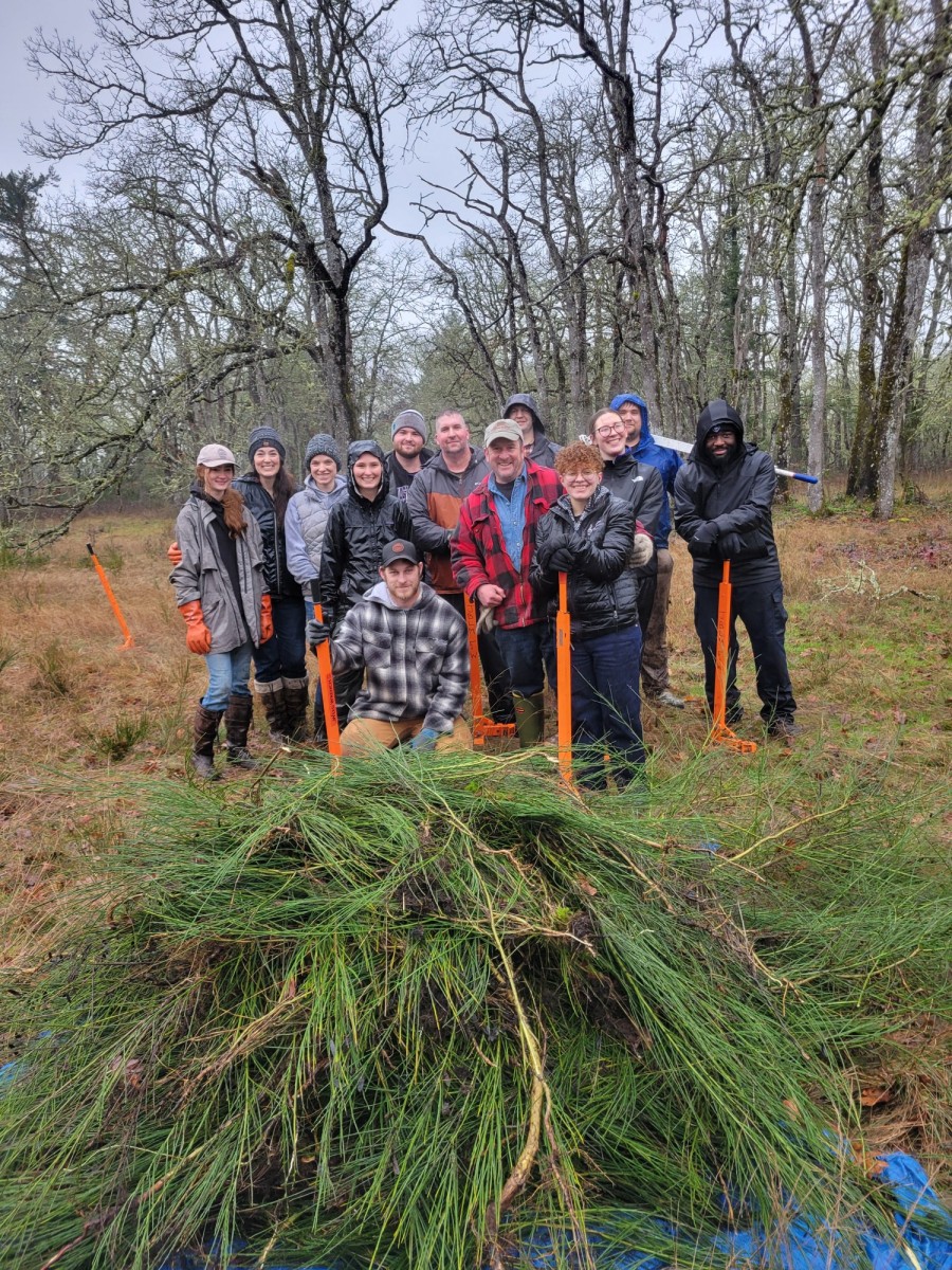 Through the Years: Restoring the Prairie Oak Preserve at JBLM | Article ...