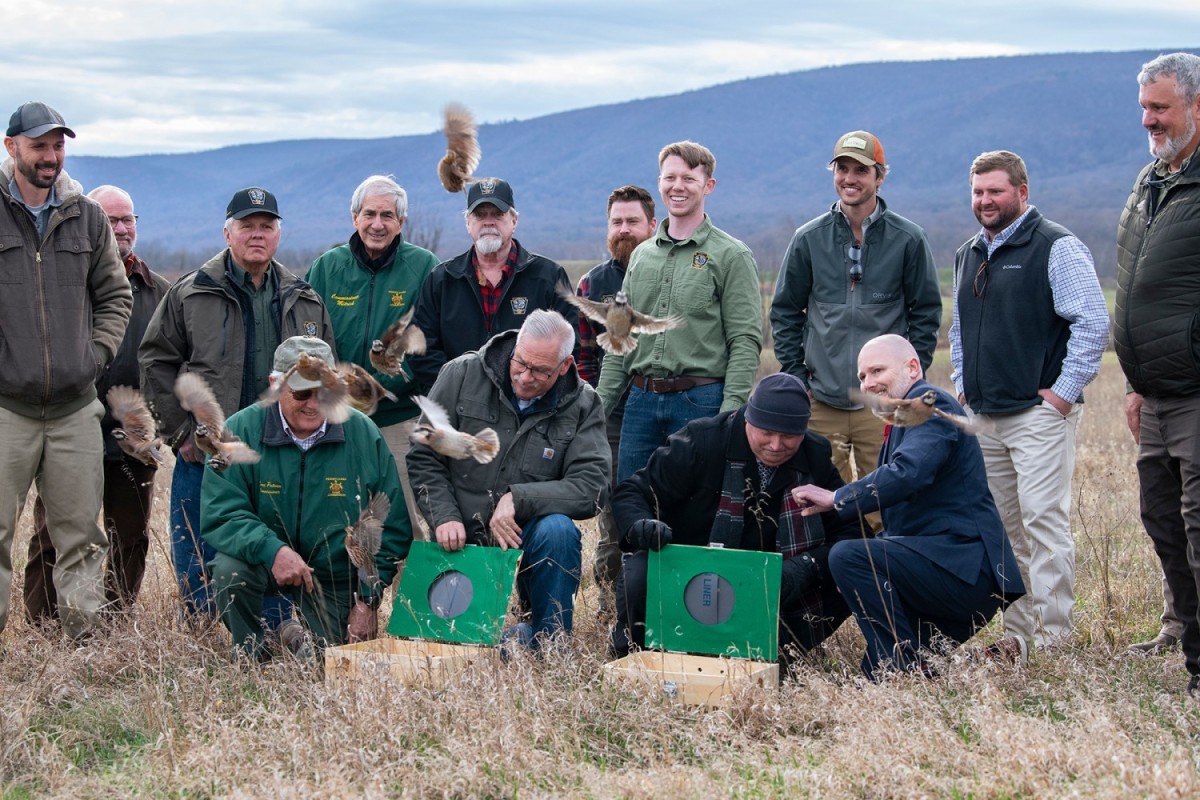 LEAD environmental division postures installation for northern bobwhite ...
