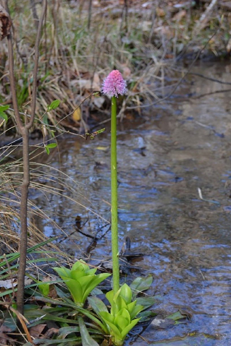 Award-winning Fort Walker team cites planning, partnerships as ...
