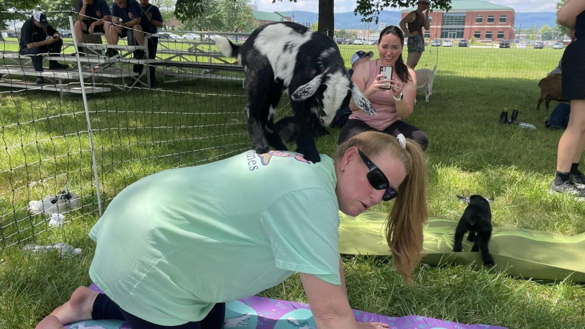 Ready Set Goat Yoga | Article | The United States Army