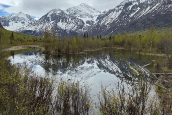 Office of the Chief of Engineers (OCE)