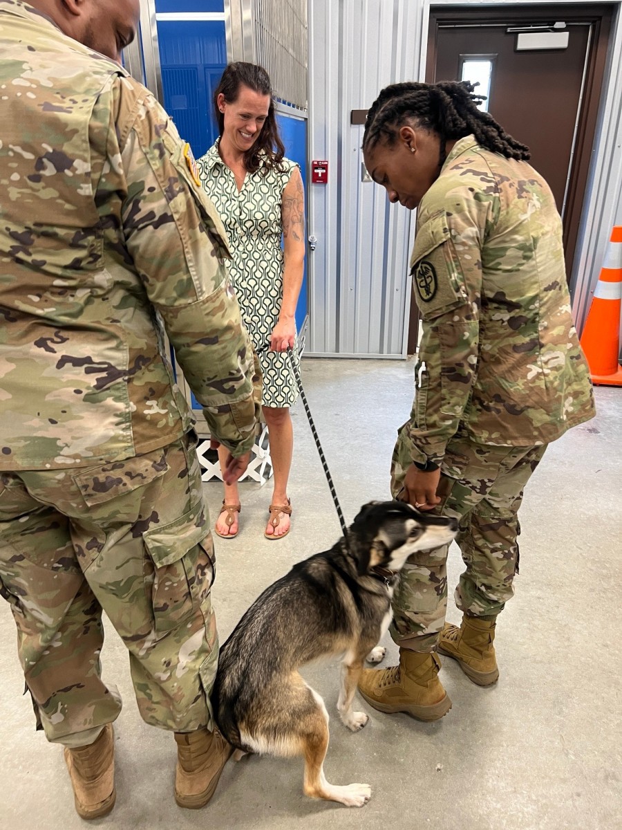 Paws on Post Pet Kennel: A Loving Retreat for Your Furry Family Members ...