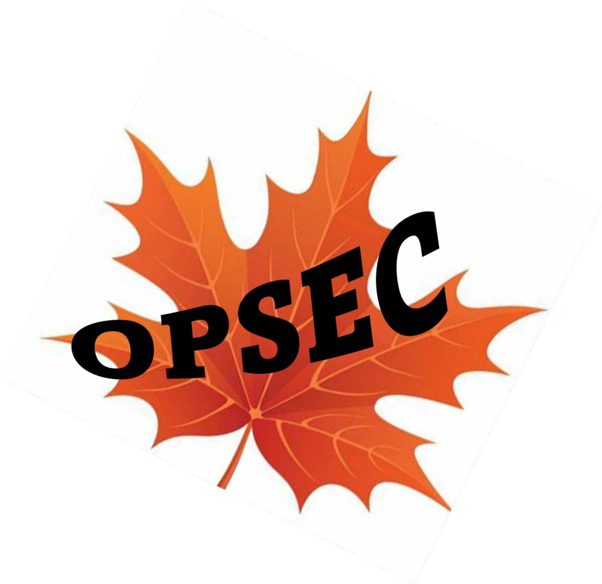 OPSEC: Don’t slip into complacency | Article | The United States Army