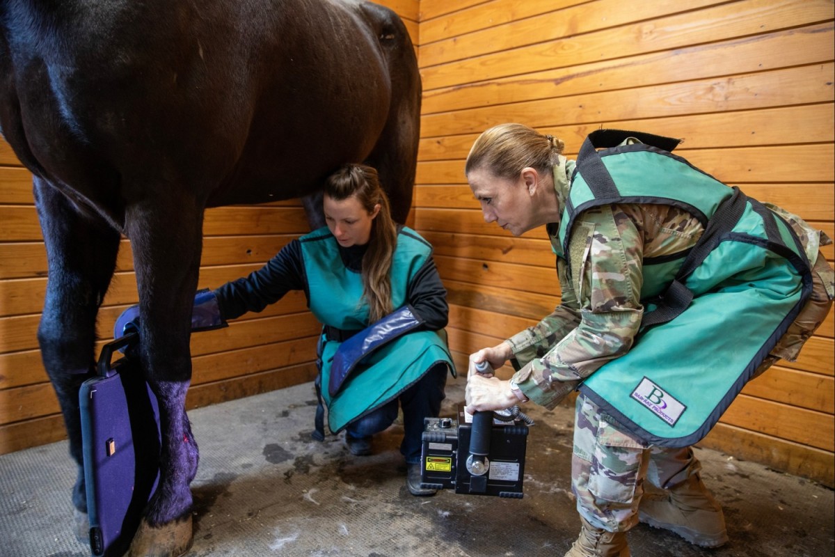 The Army Reserve’s critical role in restoring the Army’s Caisson ...