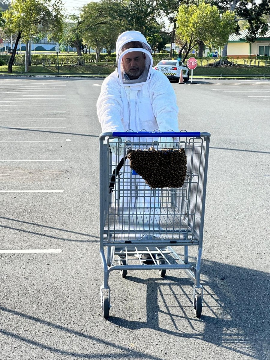 Fort Buchanan's DPW quick action avoids disruption in operations ...