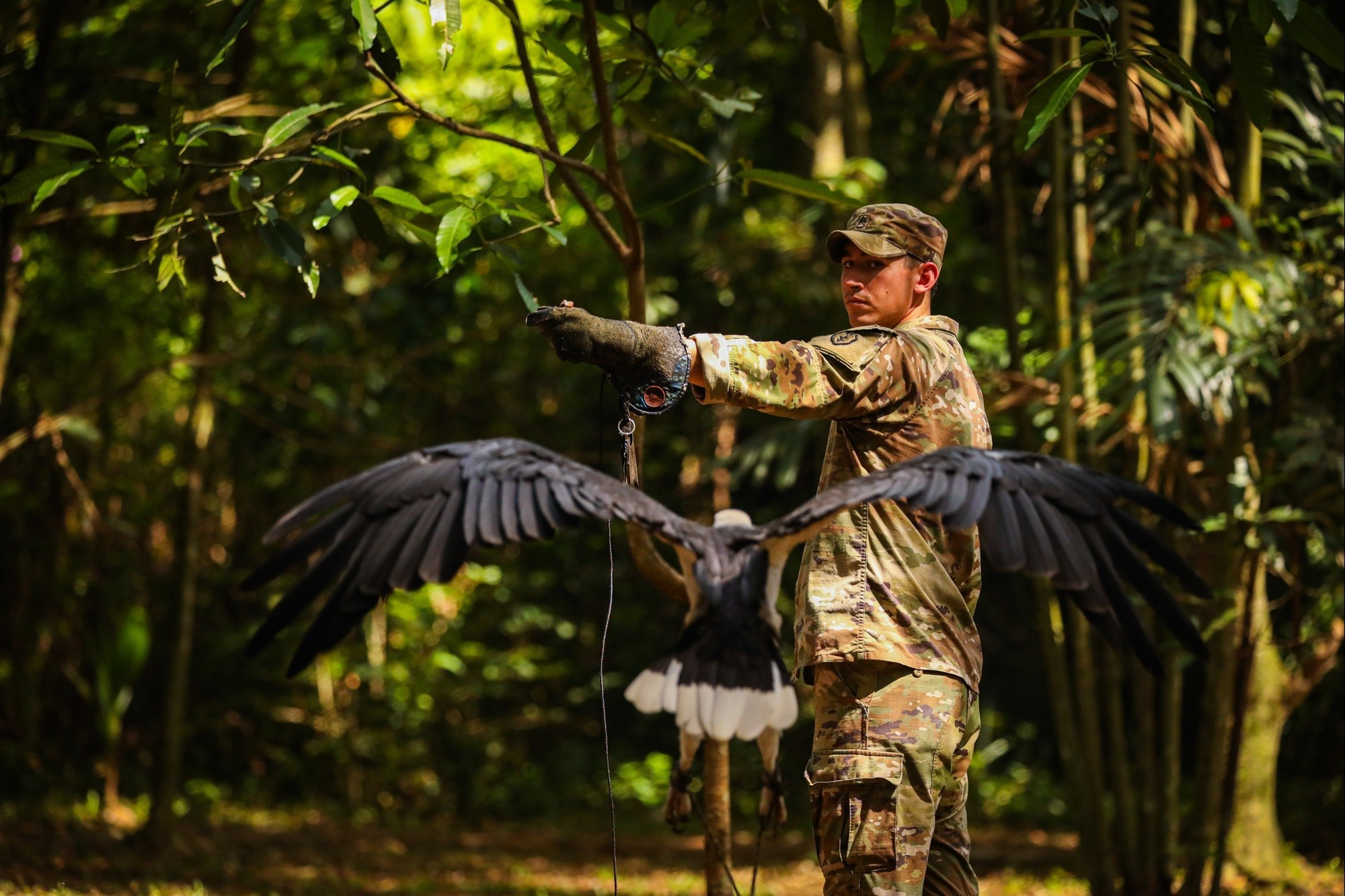Survival in the Tropics: Malaysian Army Shares Essential Jungle ...