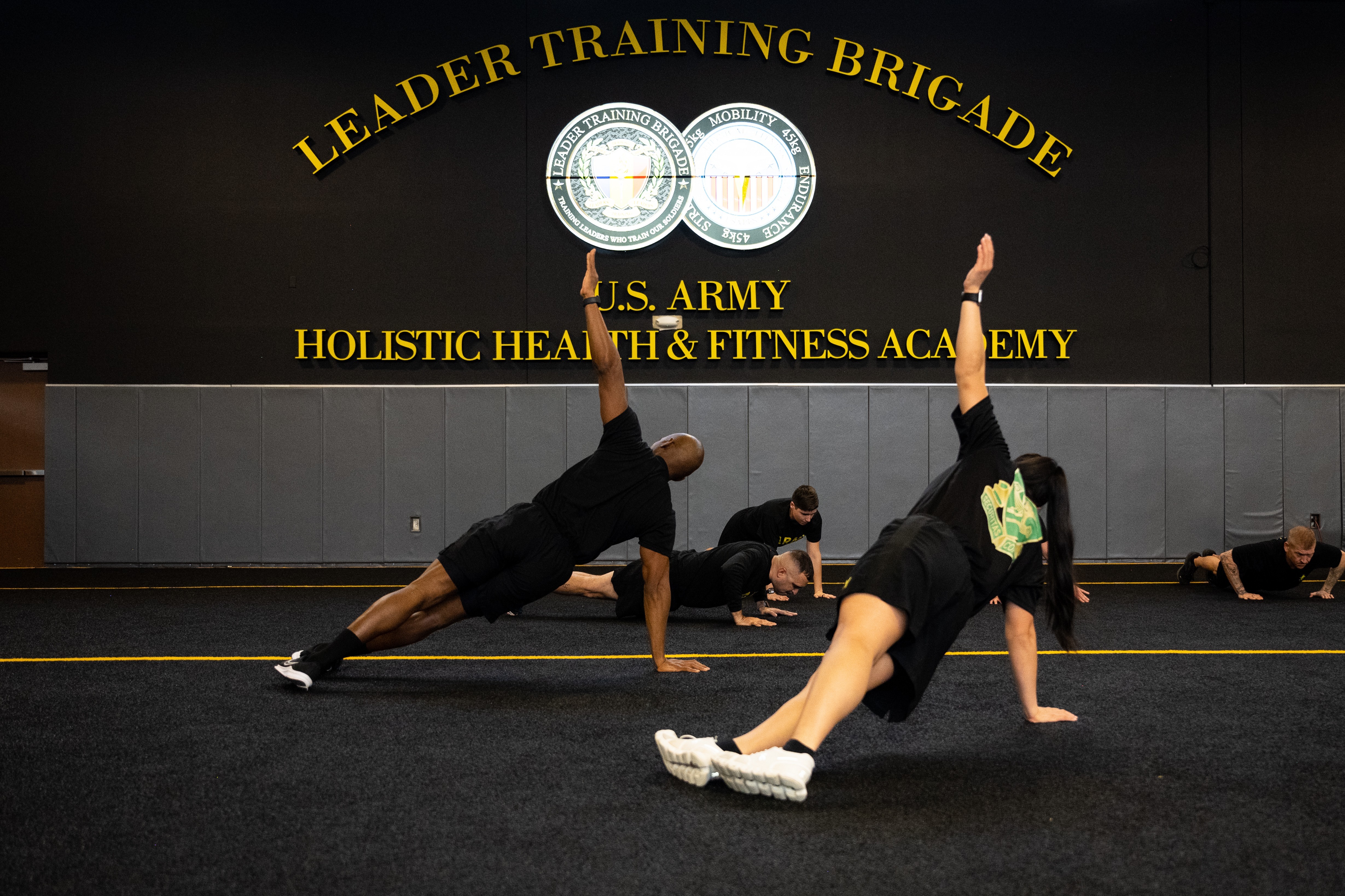 Army Establishes New Skills Qualification Identifier for Holistic ...