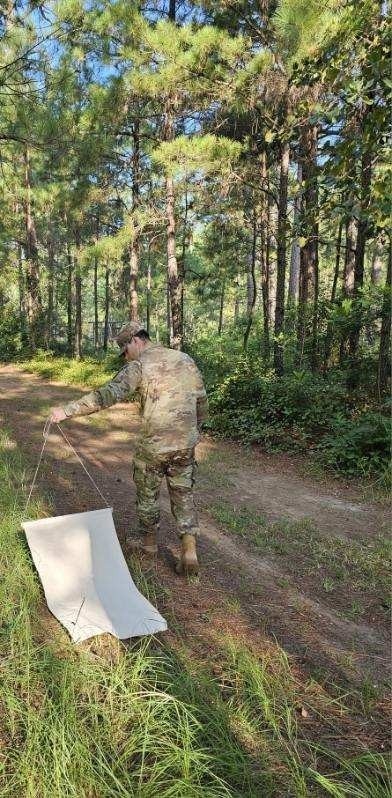 Tick Talk: Prevention and Protection | Article | The United States Army