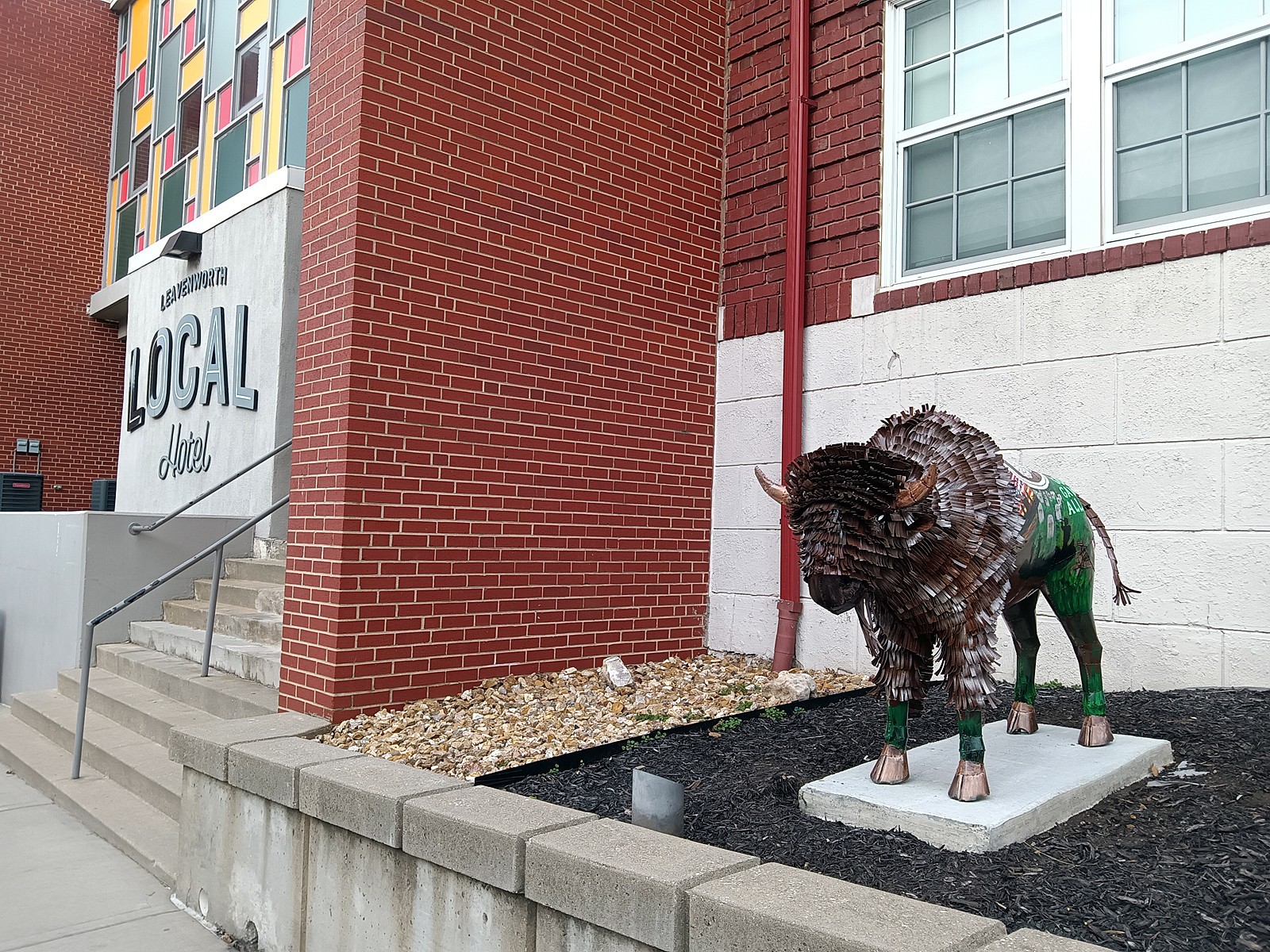 Spirit of the Buffalo: Lamp intern contributes time, talent to local ...