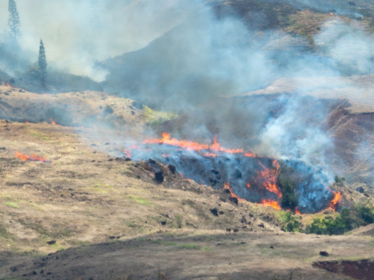 Army, Forest Service complete annual prescribed burn with drone support ...
