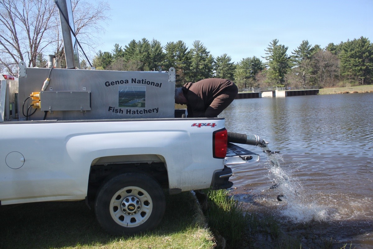 15,000 rainbow trout stocked at Fort McCoy in time for May 2026 fishing ...