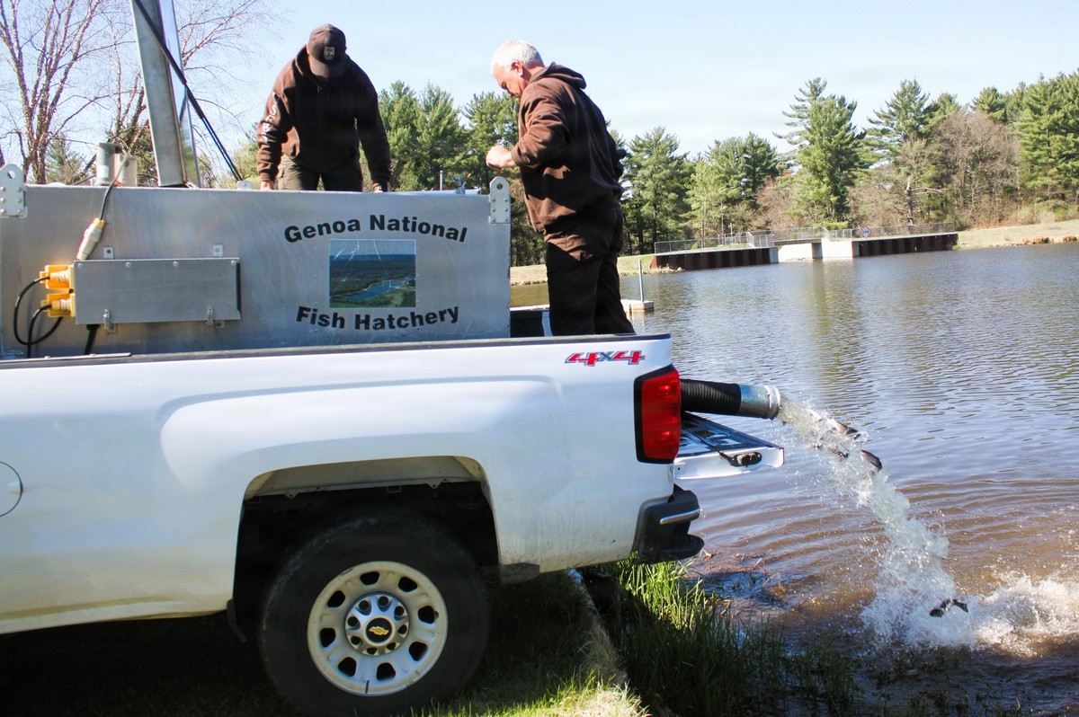 15,000 rainbow trout stocked at Fort McCoy in time for May 2026 fishing ...