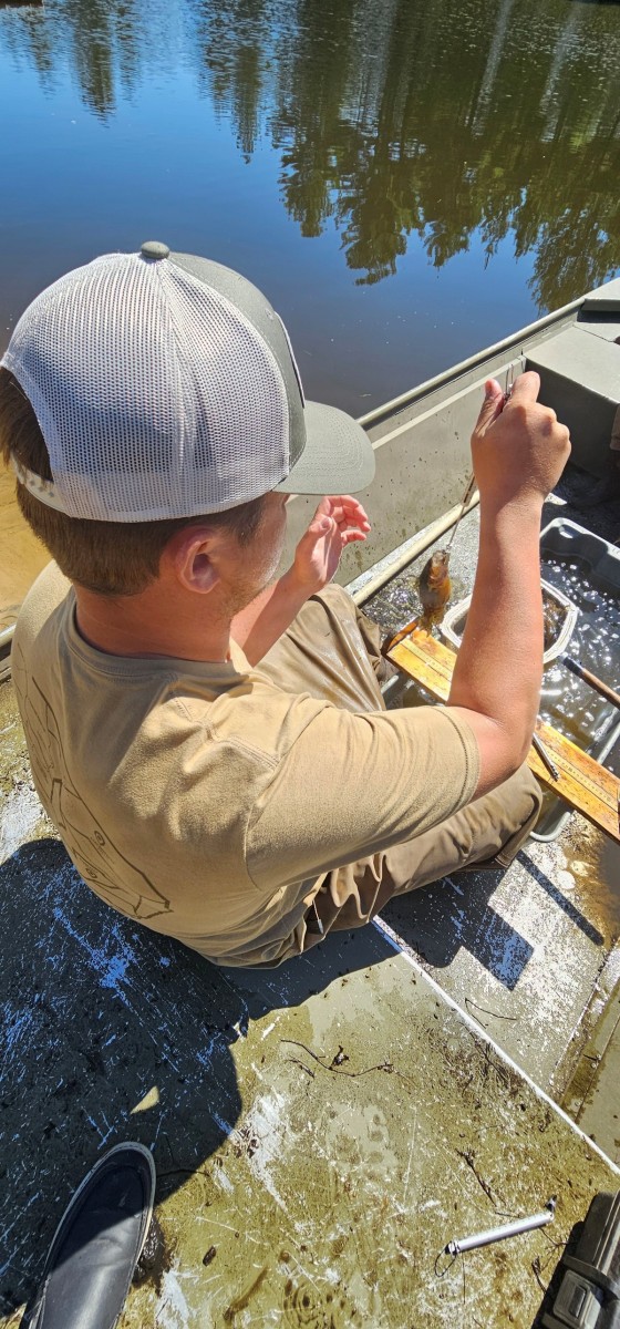 Fort McCoy natural resources fisheries team conducts spring lake ...