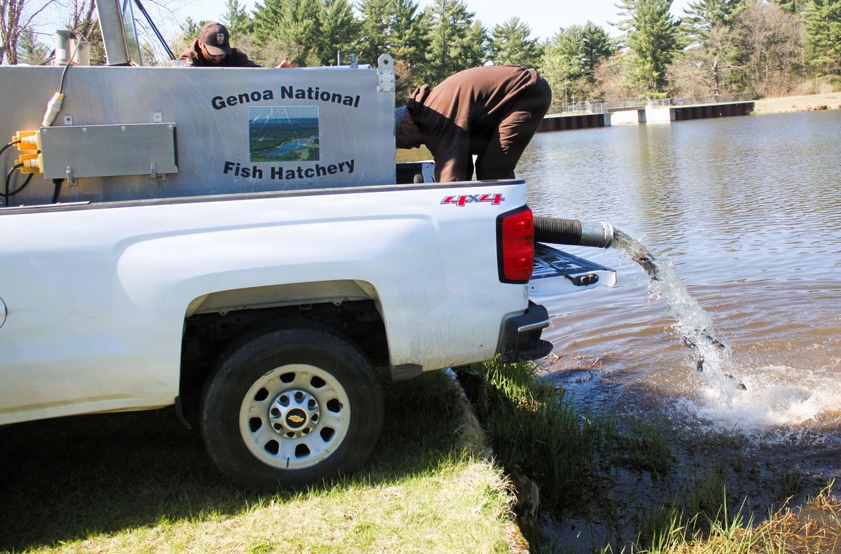 15,000 rainbow trout stocked at Fort McCoy in time for May 2026 fishing ...