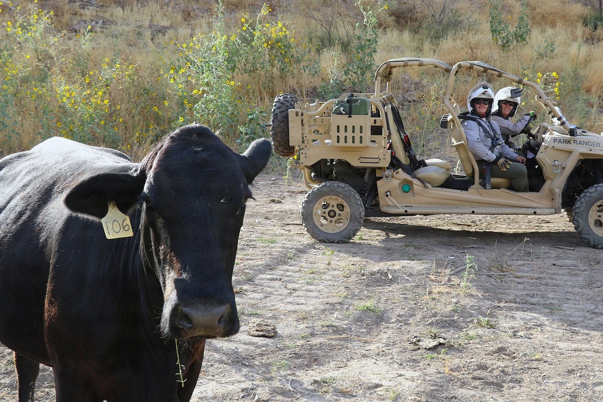 Park ranger leads environmental inspections of Arizona dams | Article ...